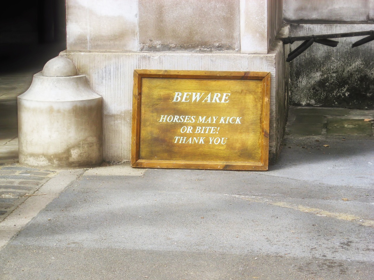 Equine Activities: Enjoying the Simple Pleasure of Horses